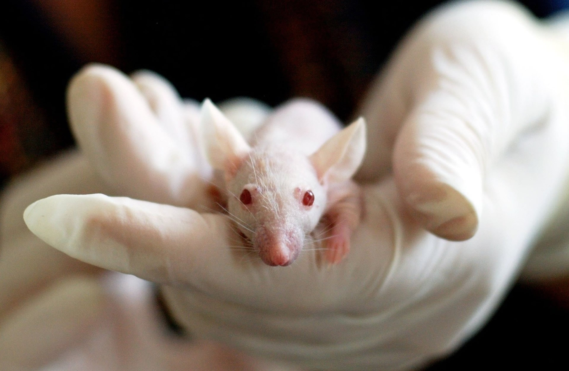 FBI Investigates Second Suspected Illegal Bio Lab in Las Vegas Linked ...